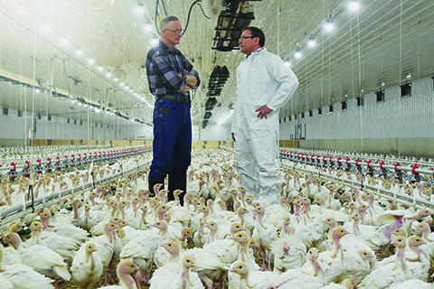 Poultry Products and Services | Animal Nutrition - United States